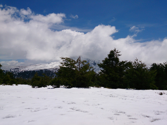 Spanish winter: where to see snow in Spain — idealista