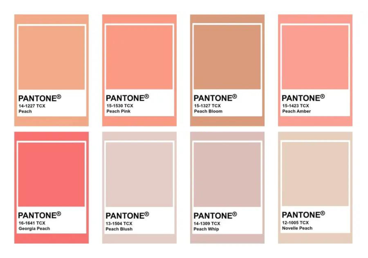 Paredes color melocotón: ideas y combinaciones para exteriores e ...