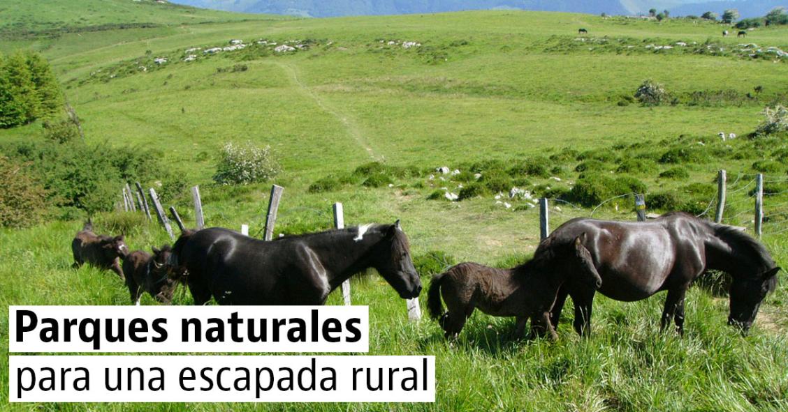 15 casas rurales para una escapada en el Puente del Pilar — idealista/news