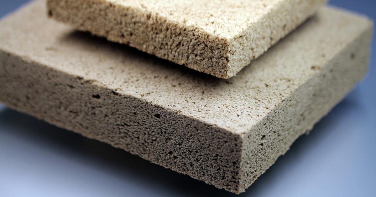 Espuma de madera, así se pueden enfriar las casas y reducir la factura ...