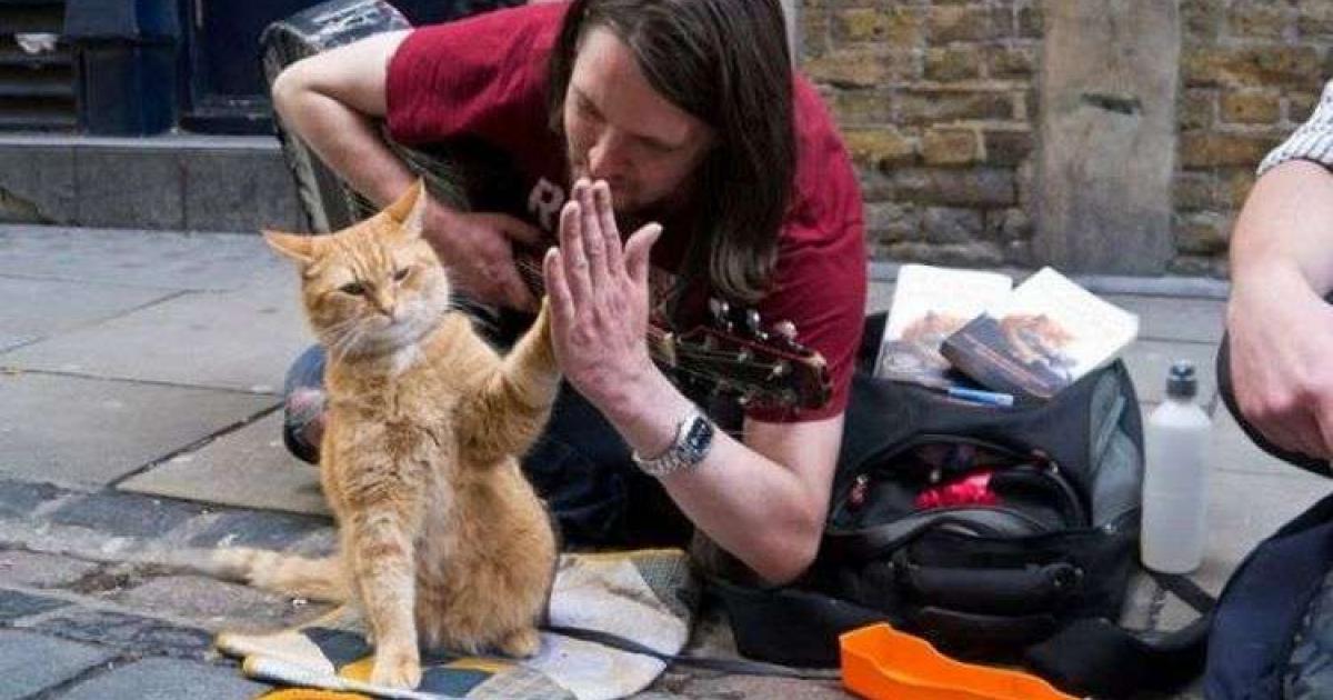 El gato que hizo rico a un vagabundo — idealista/news