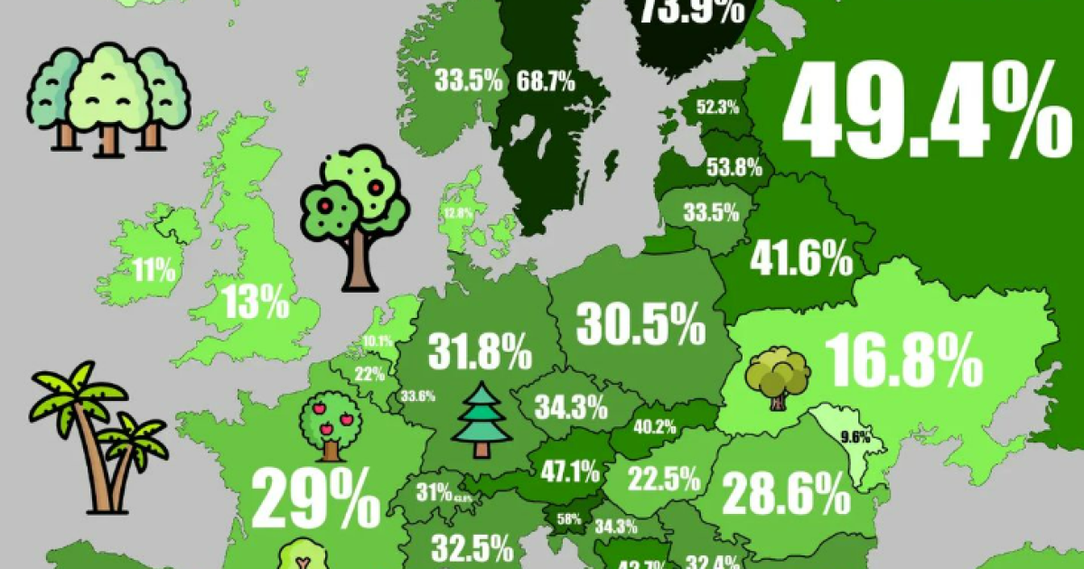 El mapa de los países de Europa con más bosques — idealista/news