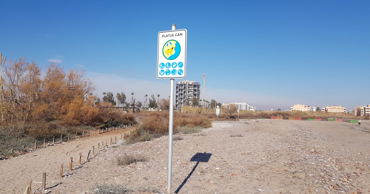 Valencia's 5 best dog-friendly beaches — idealista/news