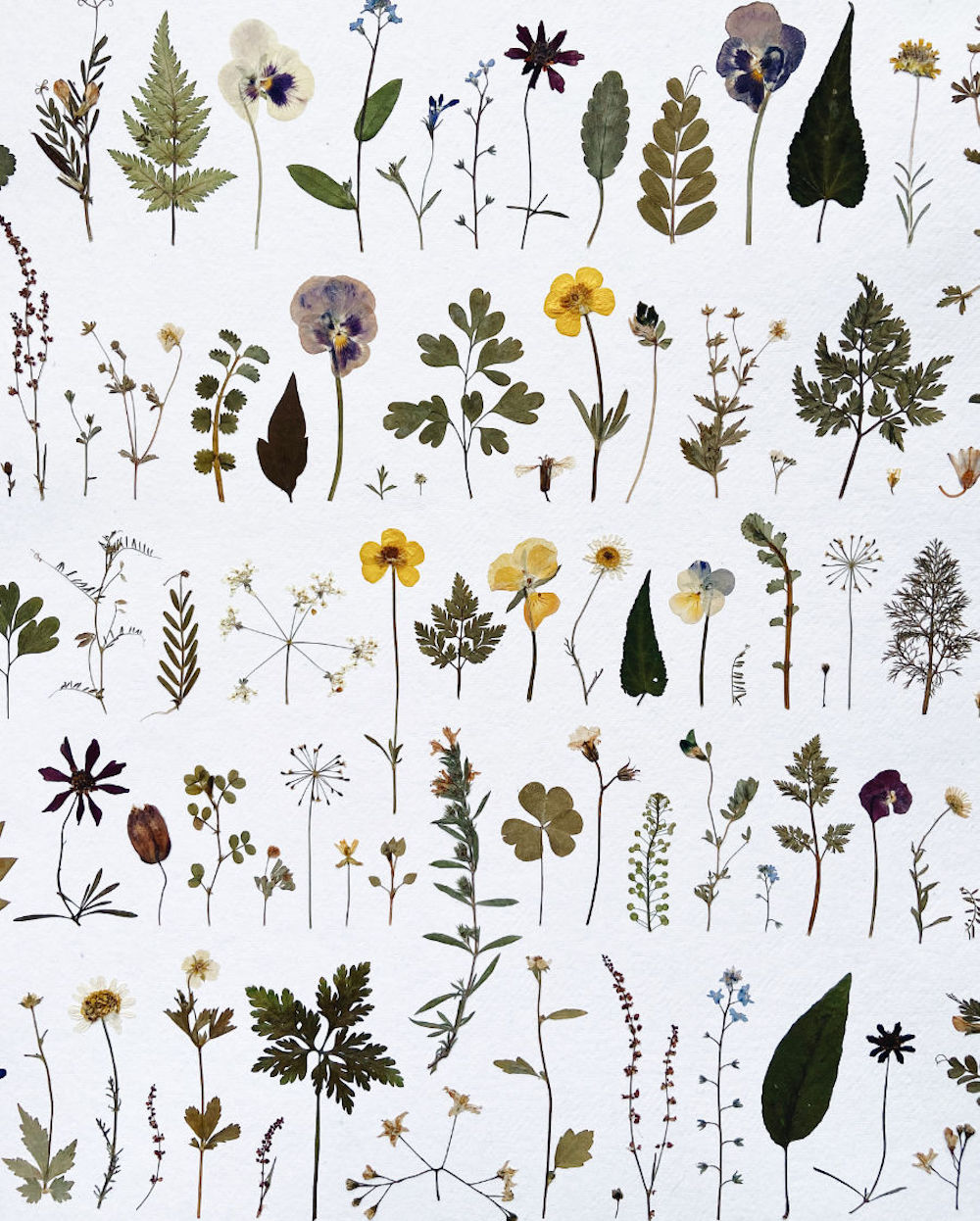 Alquiler de piso en Paseo de Garcia Fària, 49, Diagonal Mar i el Front ...